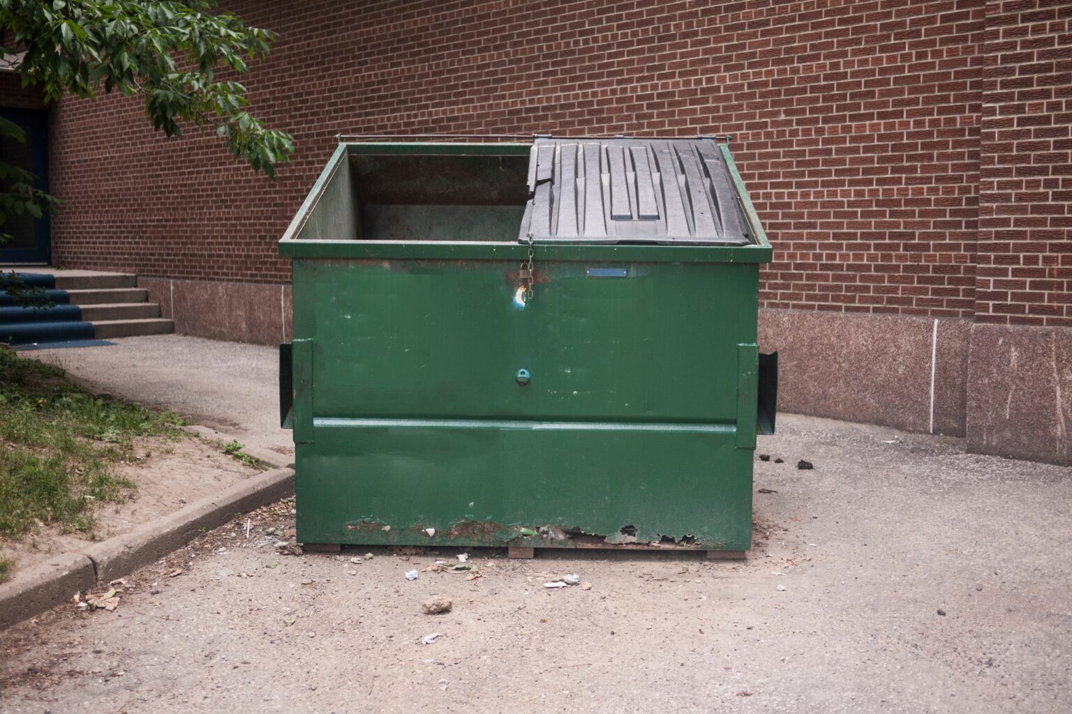 How To Recycle A Dumpster : Greis Anatomy